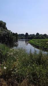 Nasce l’Osservatorio per il paesaggio Fiume Lambro Lucente - Z3xmi