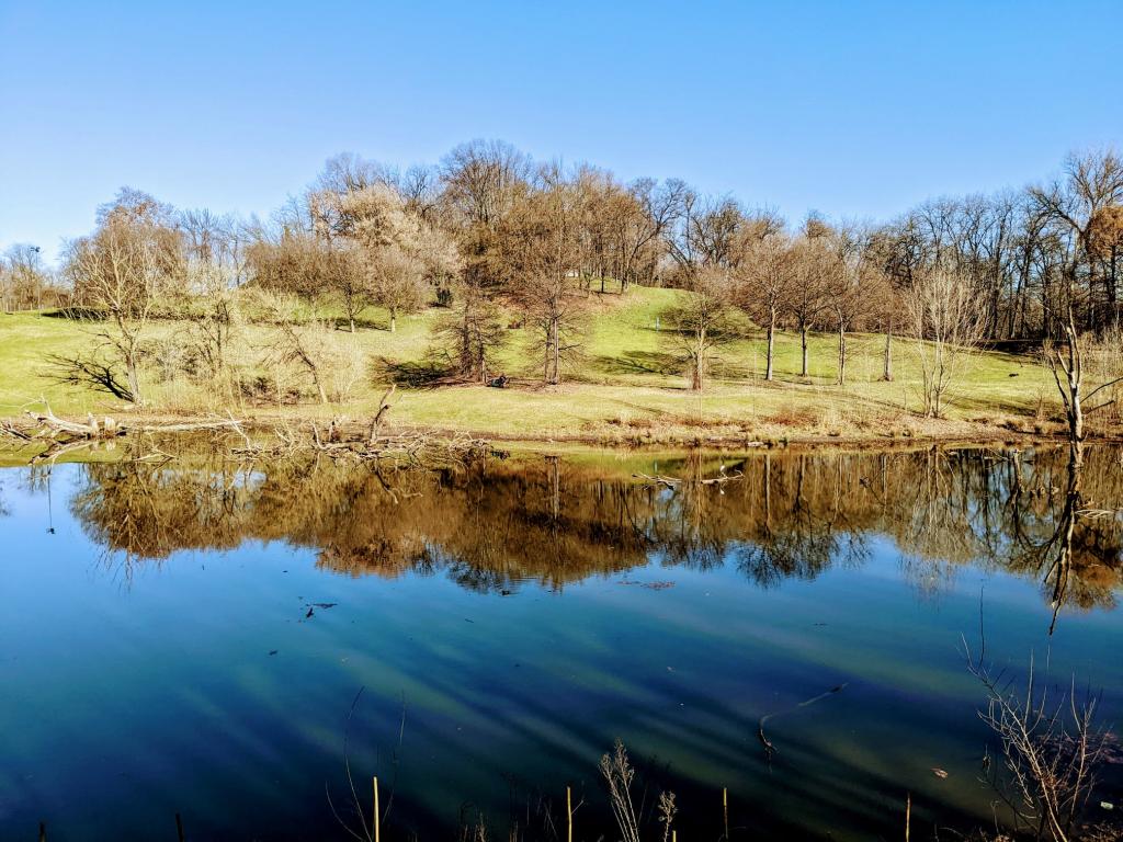 Il Parco Lambro: un grande ecosistema! - Z3xmi