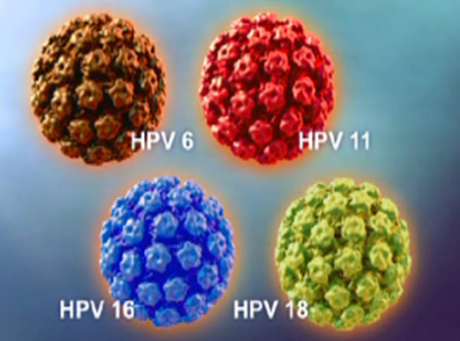 Efficacia del nuovo vaccino Hpv 9-valente. In attesa il nulla osta in ...